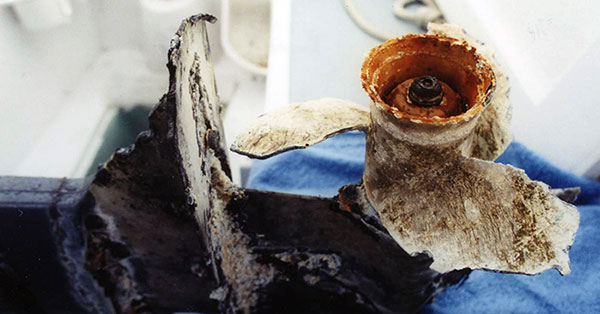 How To Prevent Outdrive Corrosion | BoatUS