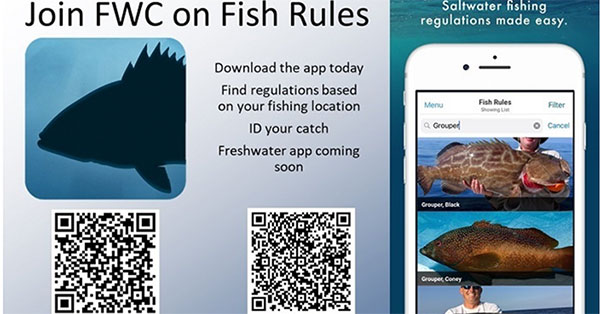 Fishing Facts At Your Fingertips | BoatUS