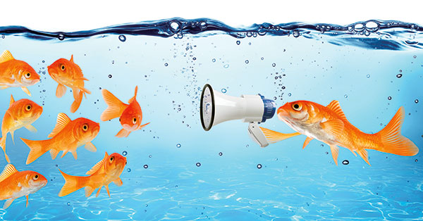 Hey Anglers! The Fish Are 'Talking' About You | BoatUS