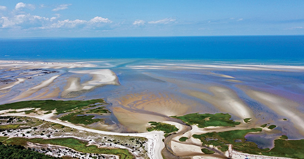 Stalking The Shallows For Stripers | BoatUS